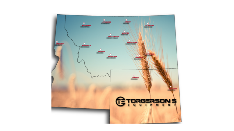 Careers - Torgerson's